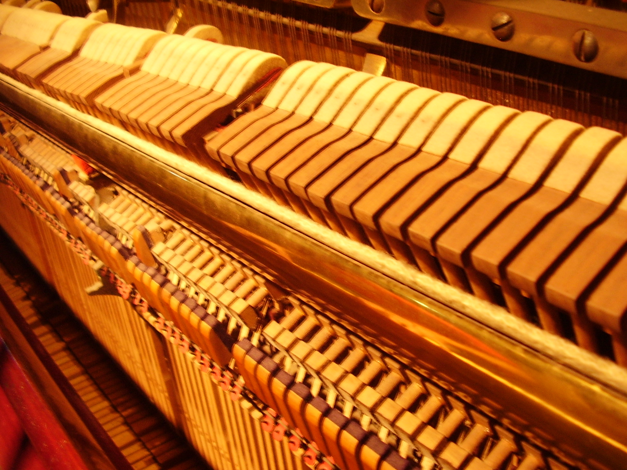 Image After Images Pepelui Inside Piano Keys Hammers Strings Instrument image-after-images-pepelui-inside-piano-keys-hammers-strings-instrument