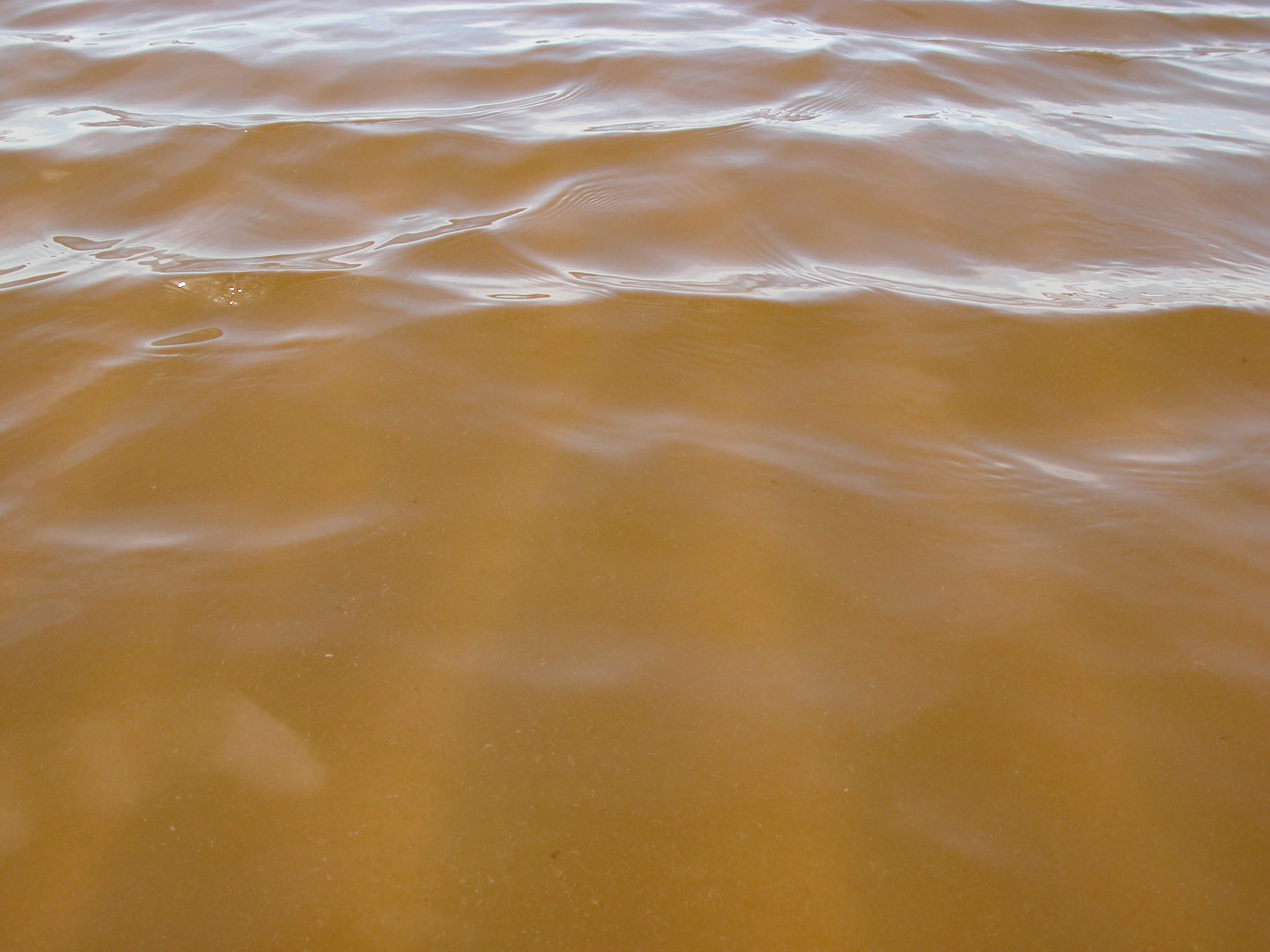 Image After Textures Elements Water Waves Brown Sea River Image After Textures Elements Water Waves Brown Sea River
